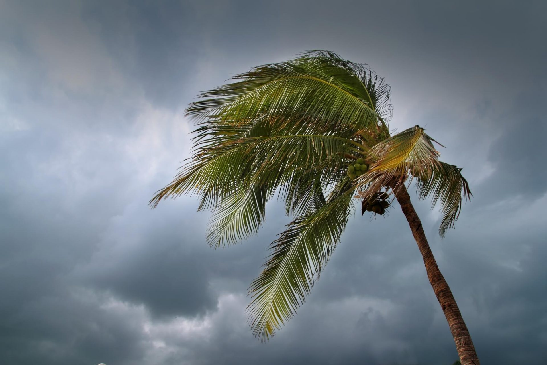 Protect Your Home from Wind Damage - Smart Start Building Inspections